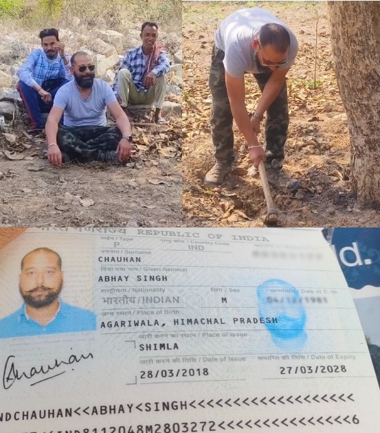 Son of Himachal Abhay Chauhan Denies USA Visa, Hector Mango, Myrobalan ...